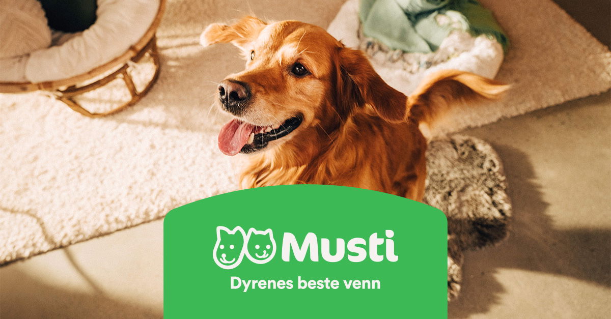 20% på SMAAK godbiter | Musti