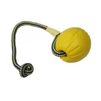 Apportleker - Aktiver din hund med apportleker - Musti