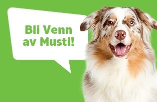 Hundemat og hundeutstyr på nett - Musti
