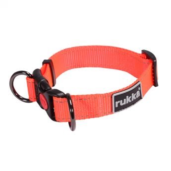 Vi har hundhalsband för alla hundar! | Arken Zoo