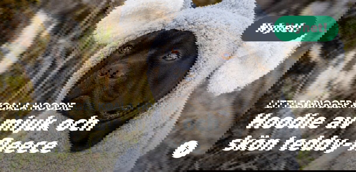 Arkenzoo.se - Djuraffär online och i din närmaste stad! | Arken Zoo