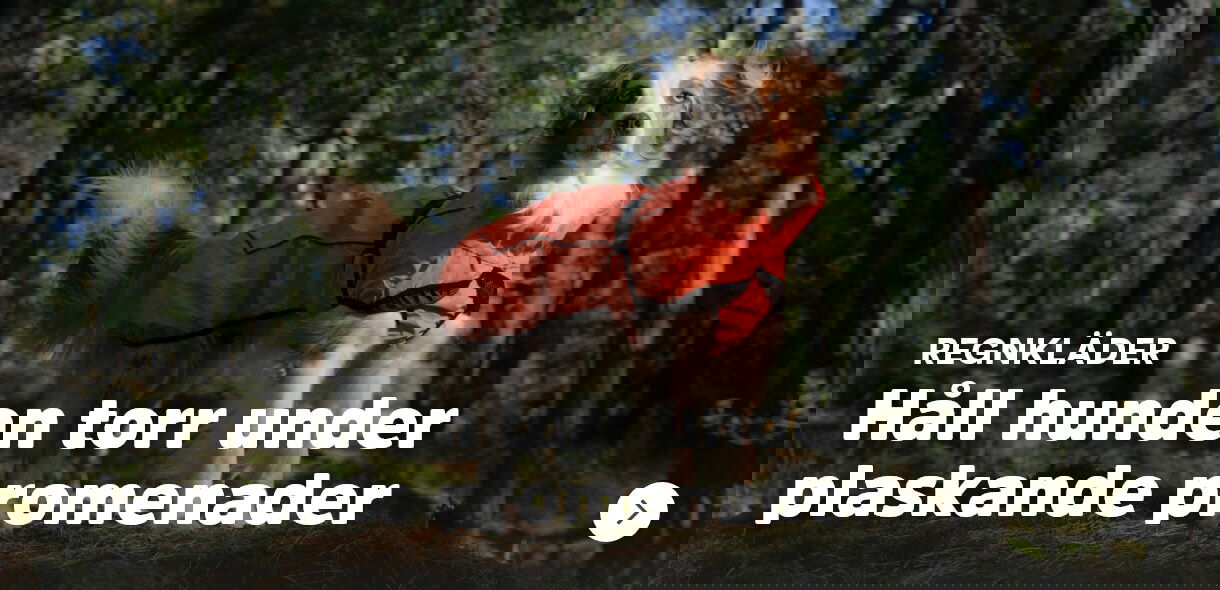 Arkenzoo.se - Djuraffär online och i din närmaste stad! | Arken Zoo