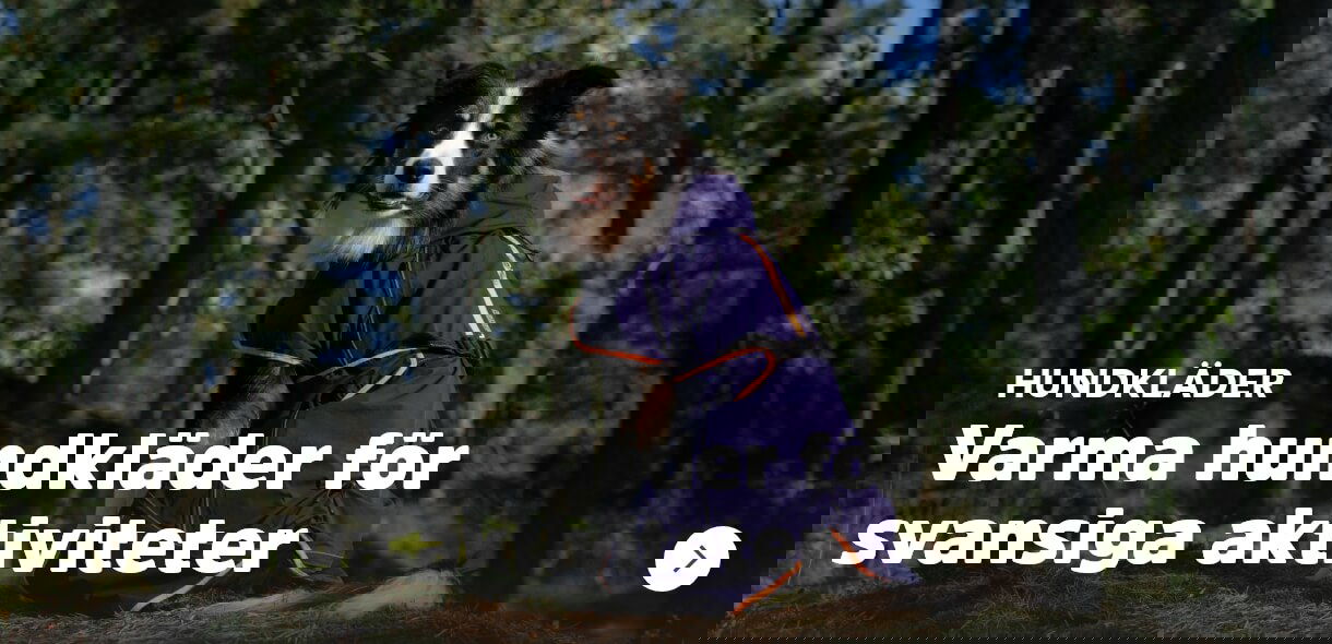 Arkenzoo.se - Djuraffär online och i din närmaste stad! | Arken Zoo