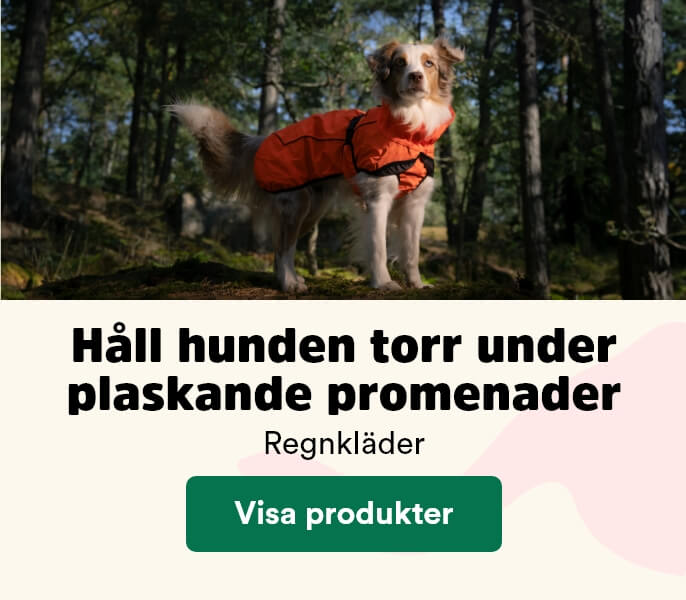 Arkenzoo.se - Djuraffär online och i din närmaste stad! | Arken Zoo