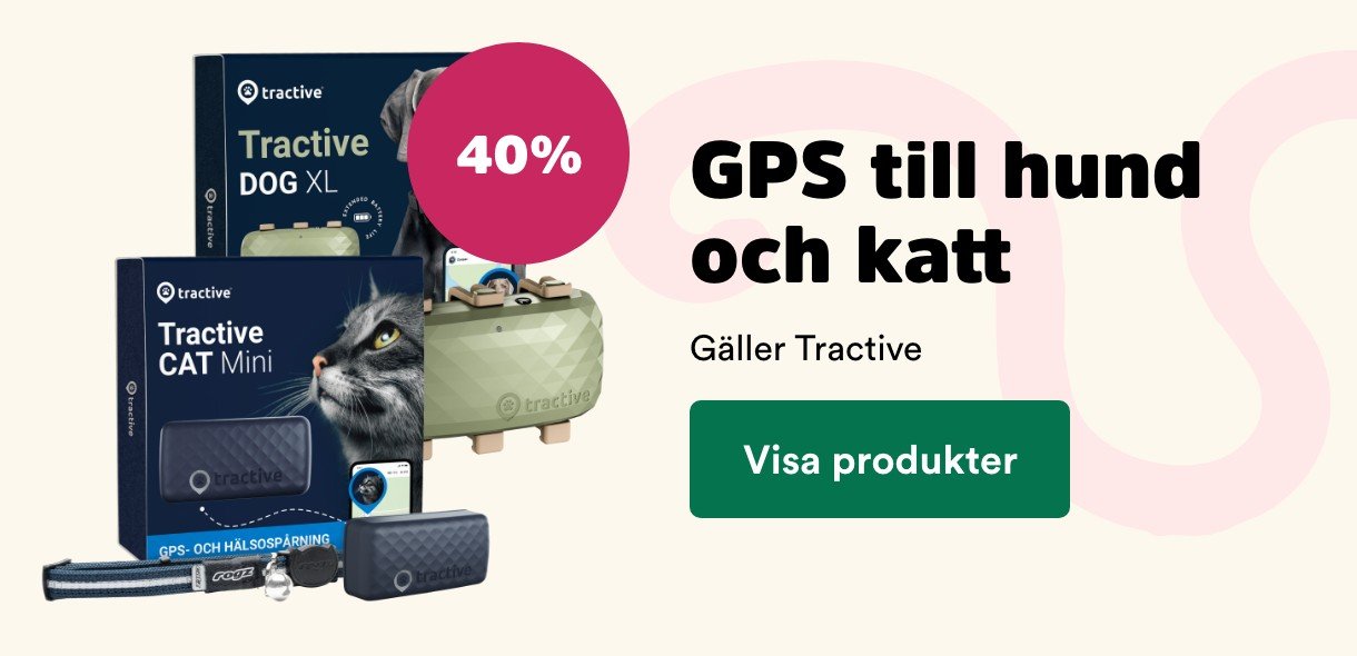 Arkenzoo.se - Djuraffär online och i din närmaste stad! | Arken Zoo