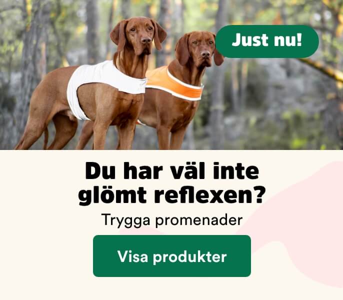 Arkenzoo.se - Djuraffär online och i din närmaste stad! | Arken Zoo