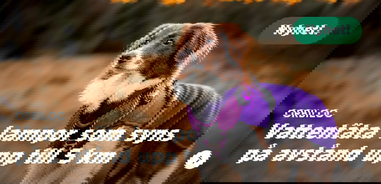 Arkenzoo.se - Djuraffär online och i din närmaste stad! | Arken Zoo