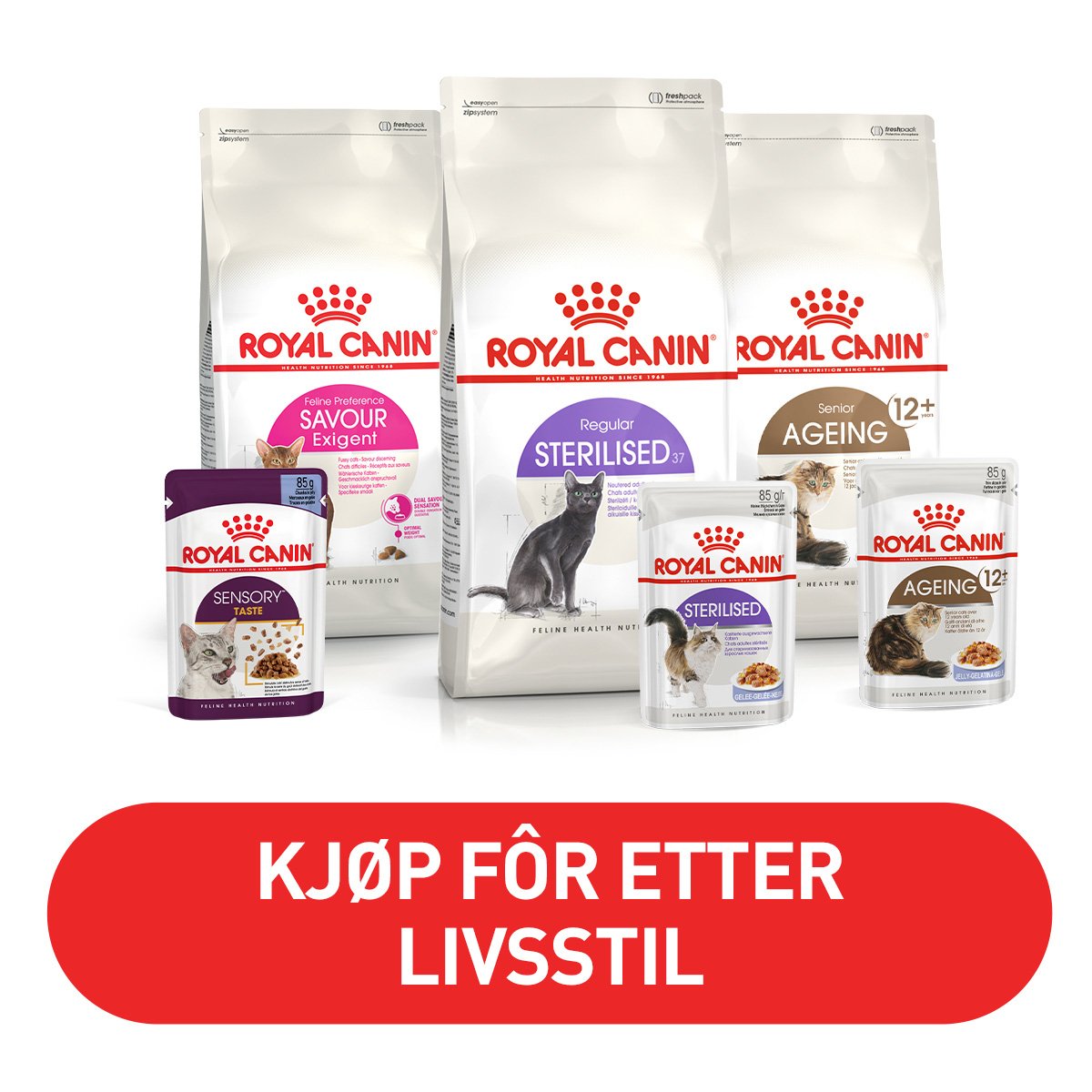 Royal Canin – Køp Royal Canin hunde- og kattemat på nett | VetZoo